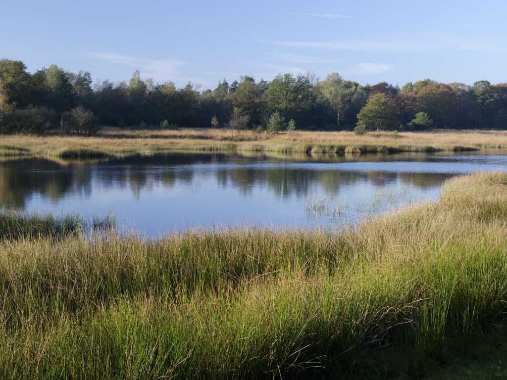 Vakantiepark Landal Rabbit Hill | Landal GreenParks