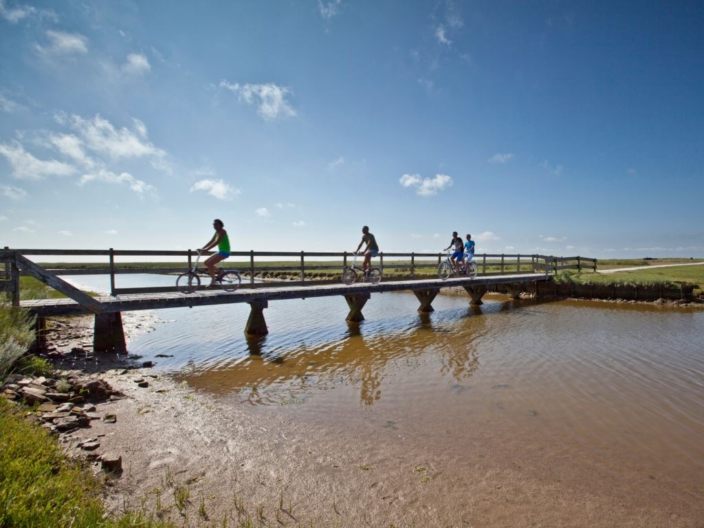 Vakantie op de Waddeneilanden bij Landal GreenParks
