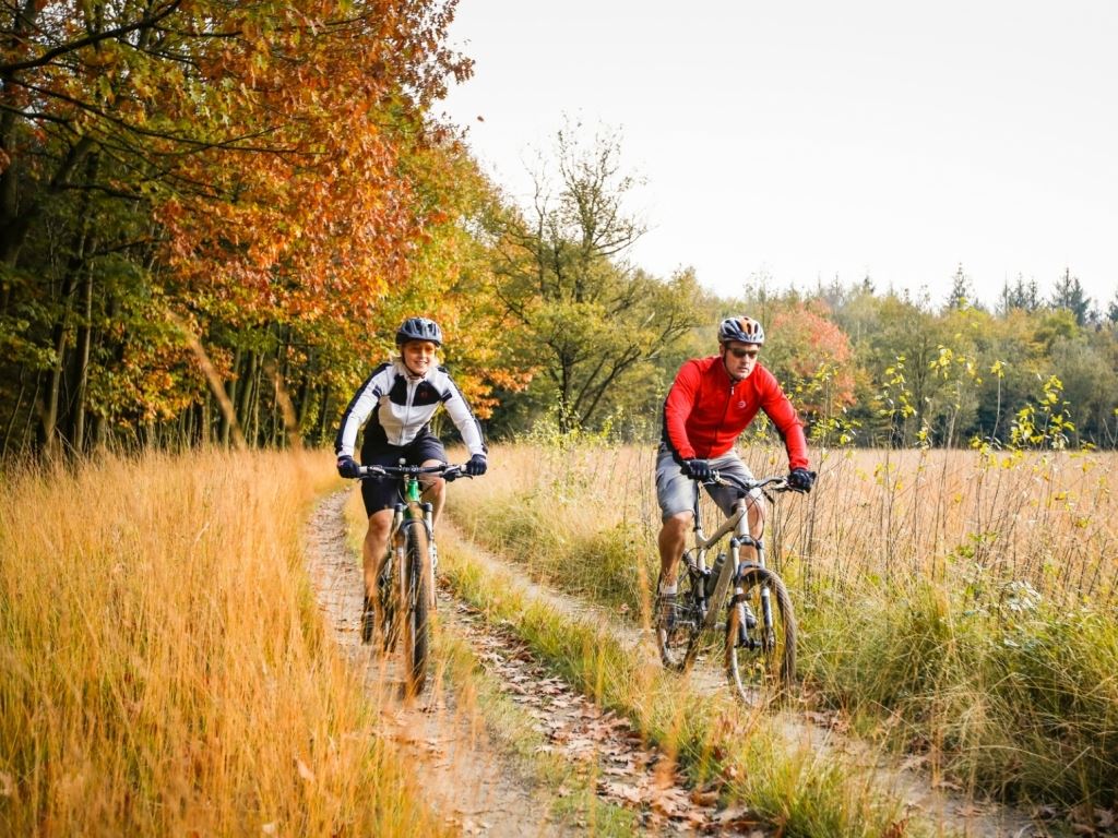 Vakantiepark Landal Aelderholt | Landal GreenParks