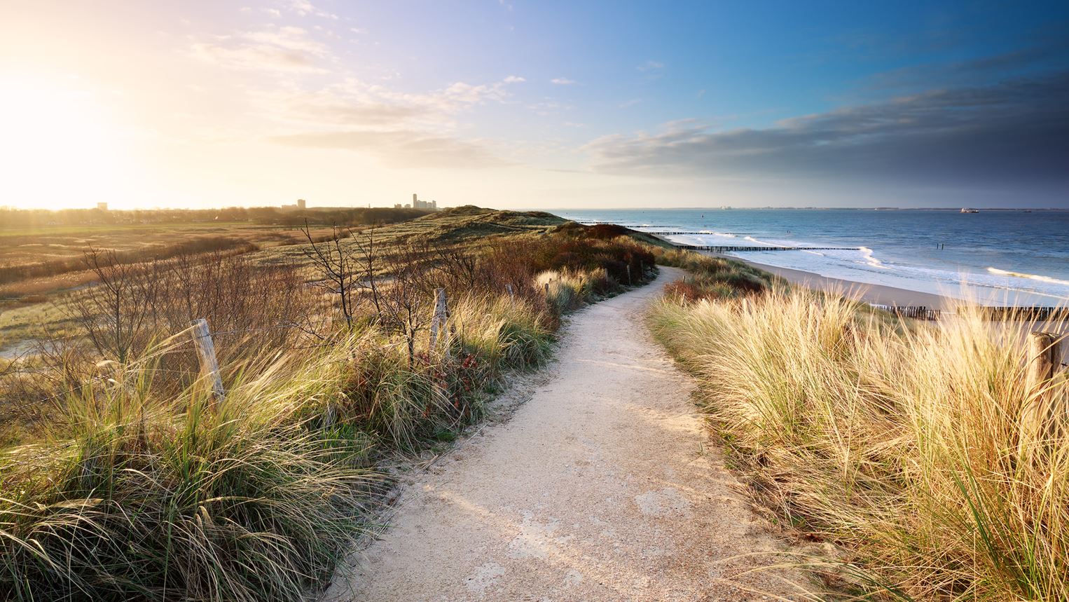 Vakantiepark Landal Residence Berger Duinen | Landal GreenParks
